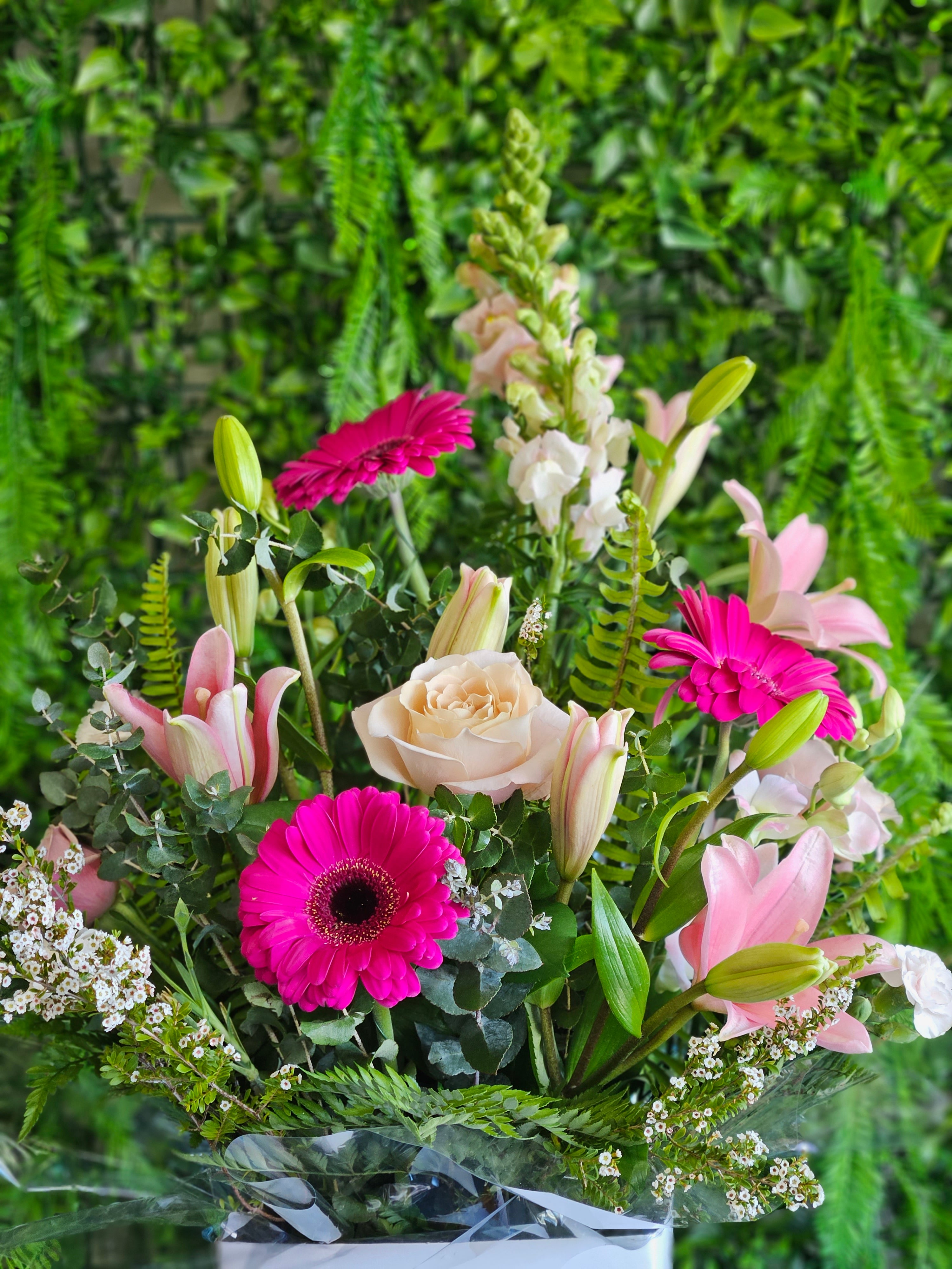 Freckles Flowers Wagga Wagga